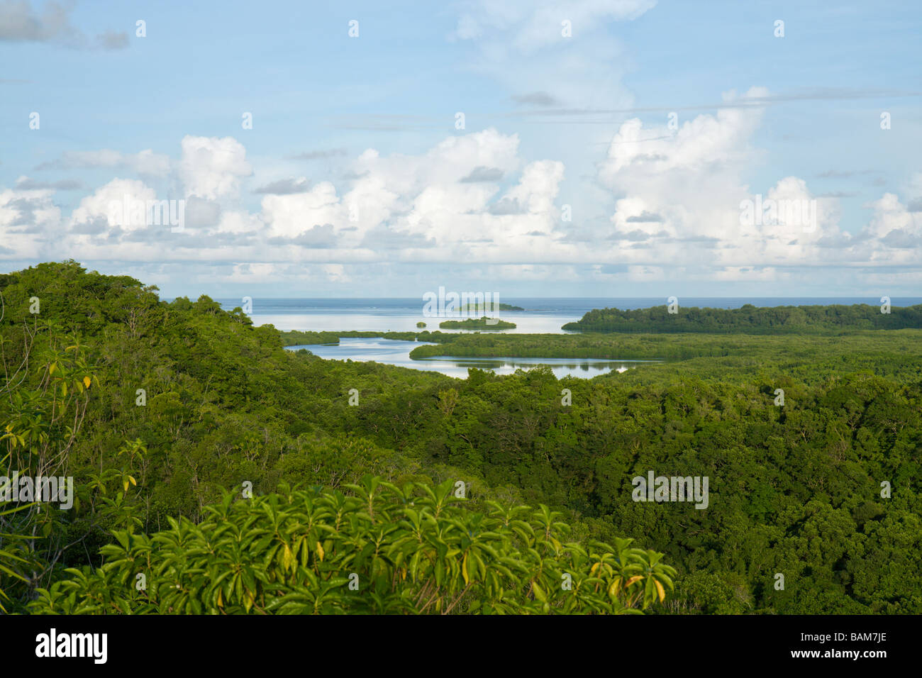 Peleliu world war ii hi-res stock photography and images - Alamy