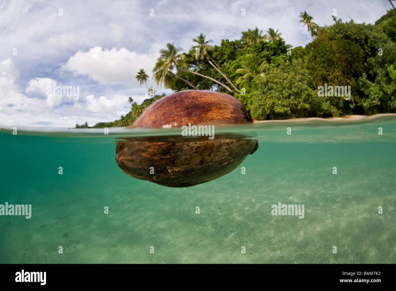 Coconut float in Lagoon Kadavu Island Fiji Stock Photo - Alamy