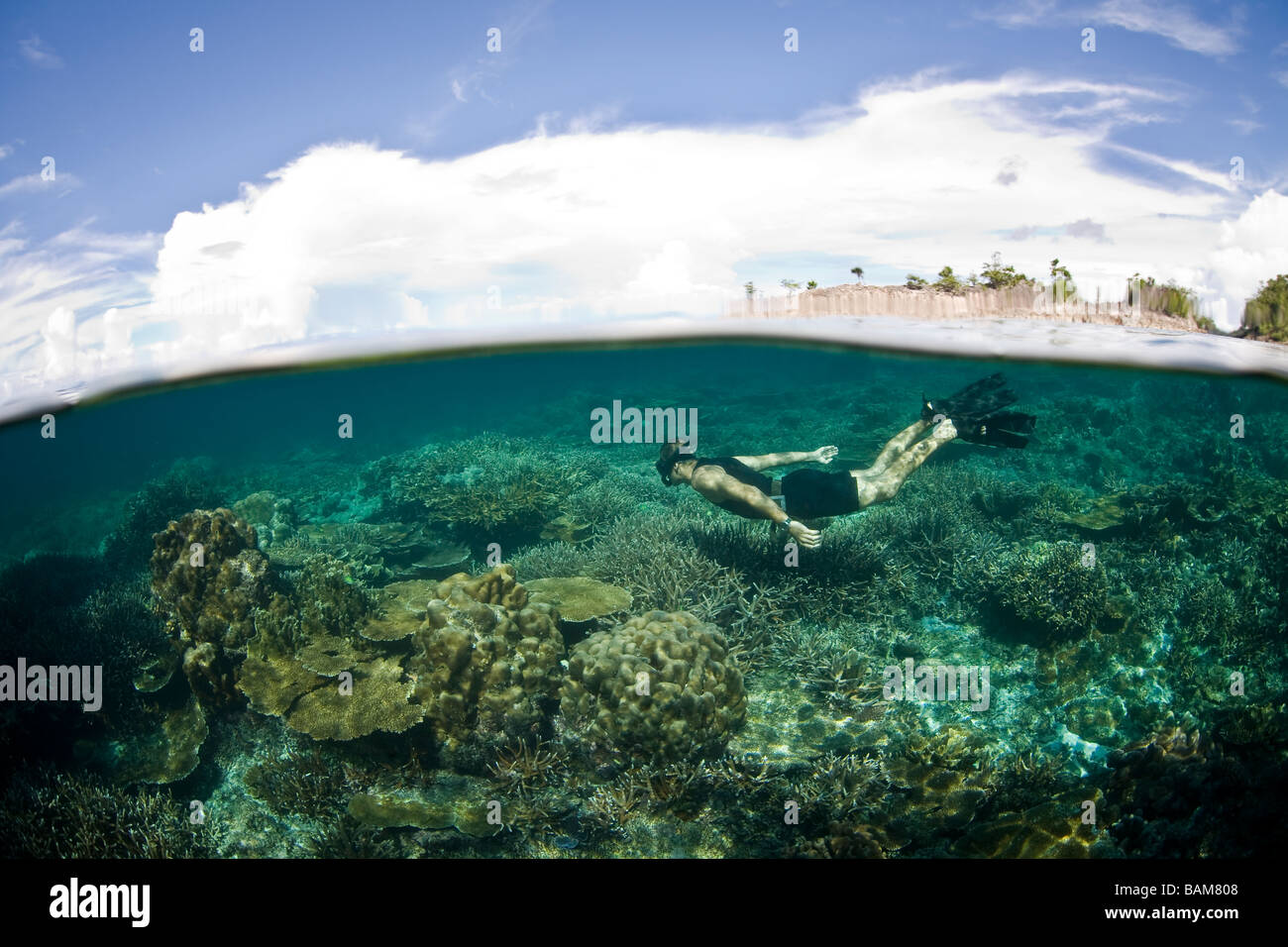 Snorkeling at Raja Ampat Raja Ampat West Papua Indonesia Stock Photo ...