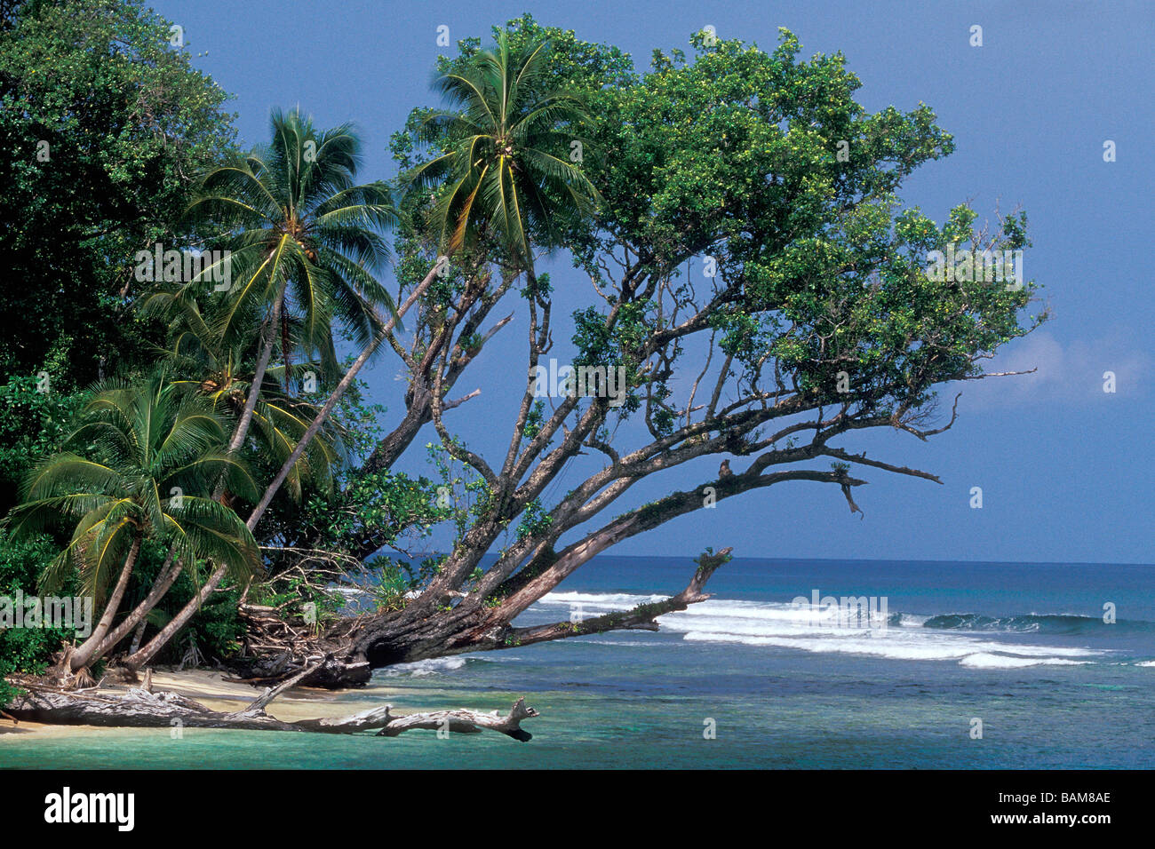 Solomon islands beach hi-res stock photography and images - Alamy