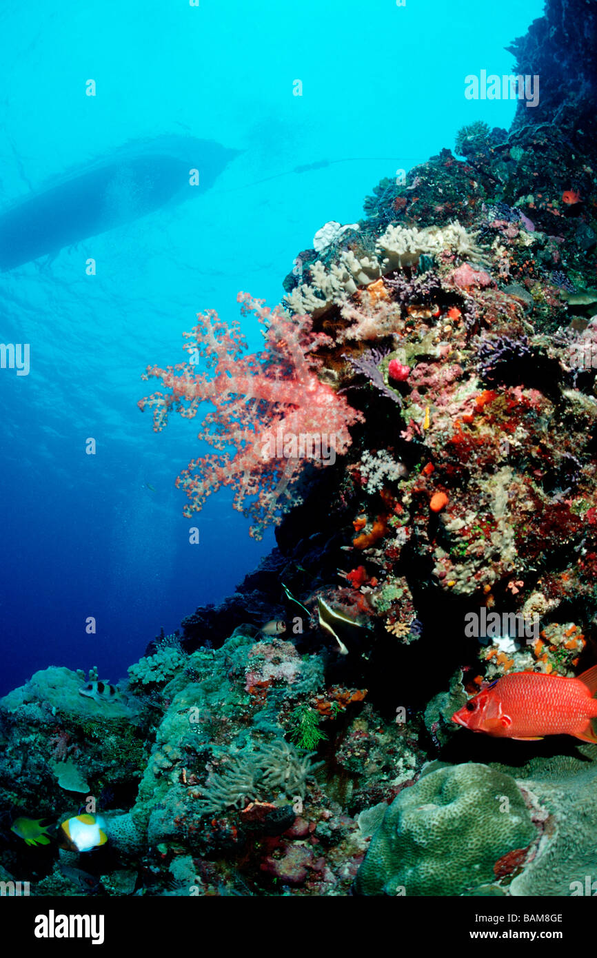 Coral reef and diving boats hi-res stock photography and images - Alamy