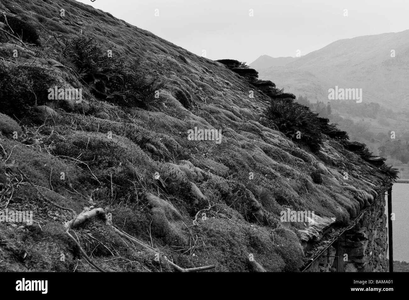 Slate rook hi-res stock photography and images - Alamy