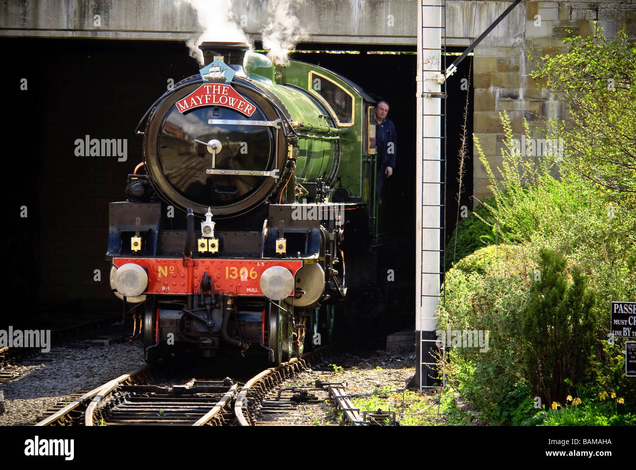 1306 mayflower High Resolution Stock Photography and Images - Alamy