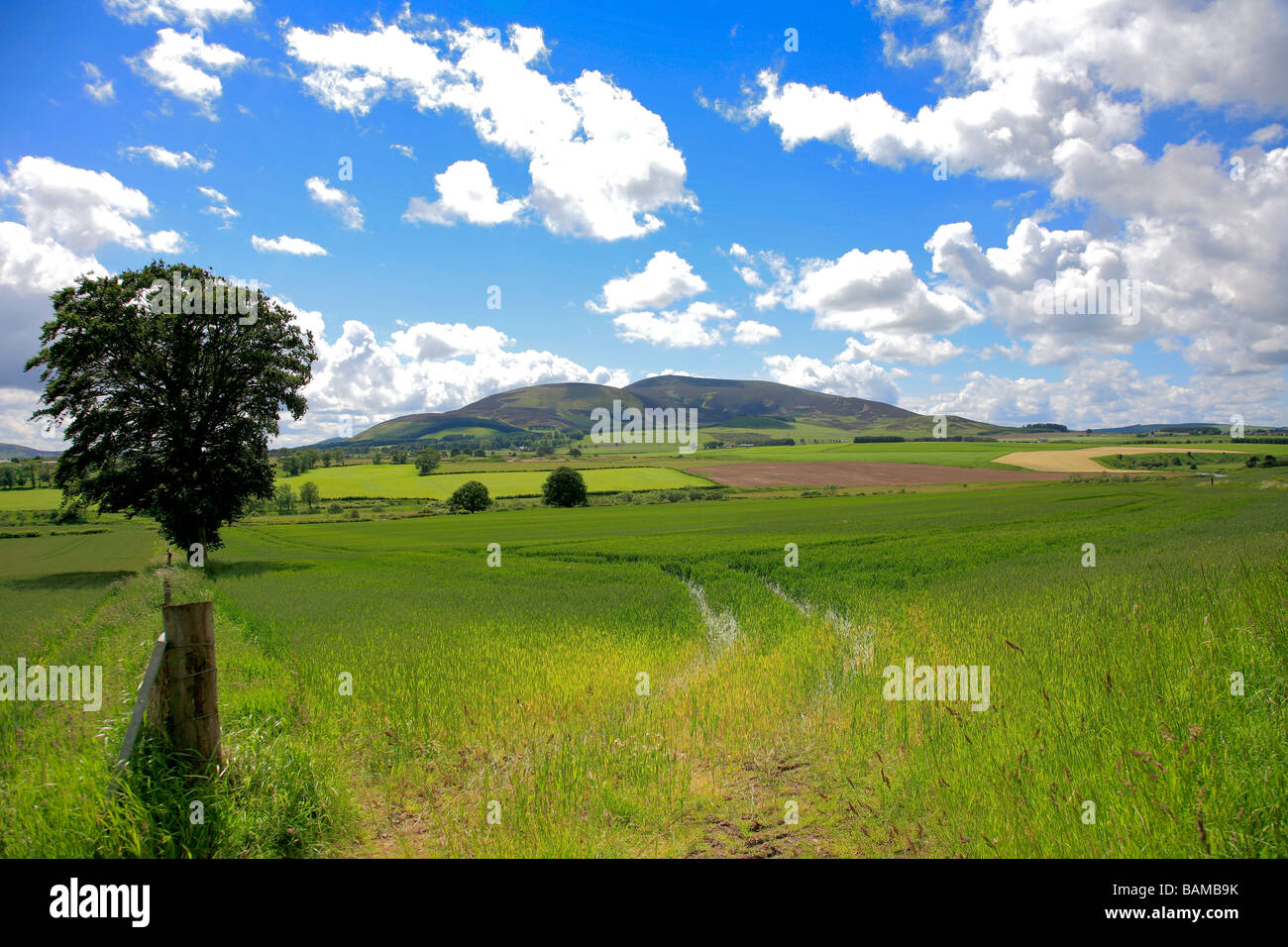 Summer Landscape of the Tinto Hills near Biggar Town Upper Tweeddale ...