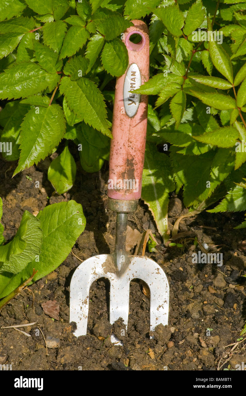 Stainless Steel Garden Hand Fork In The Soil Garden Tools tool Stock ...