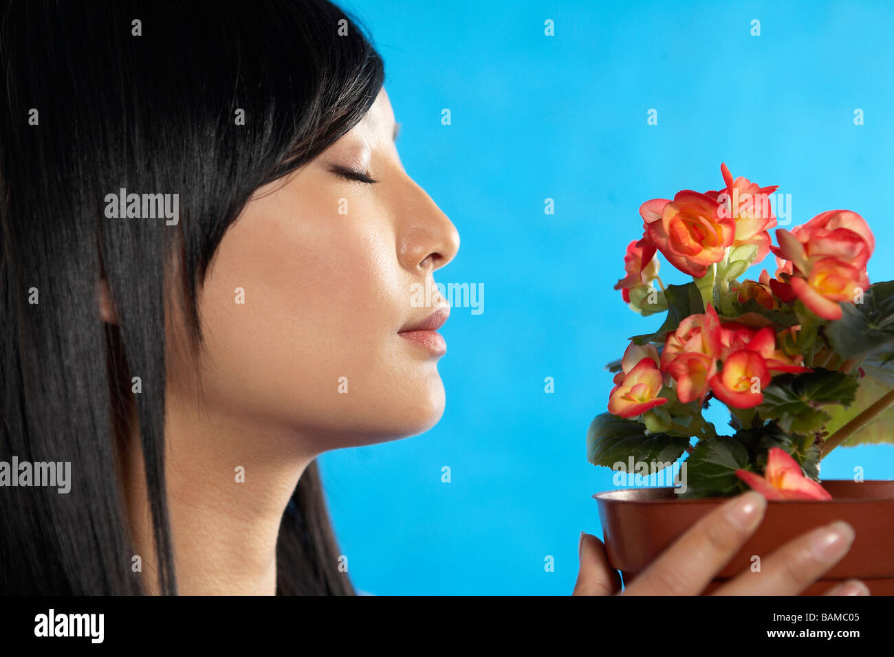 Young Woman Smelling A Flower Stock Photo - Alamy