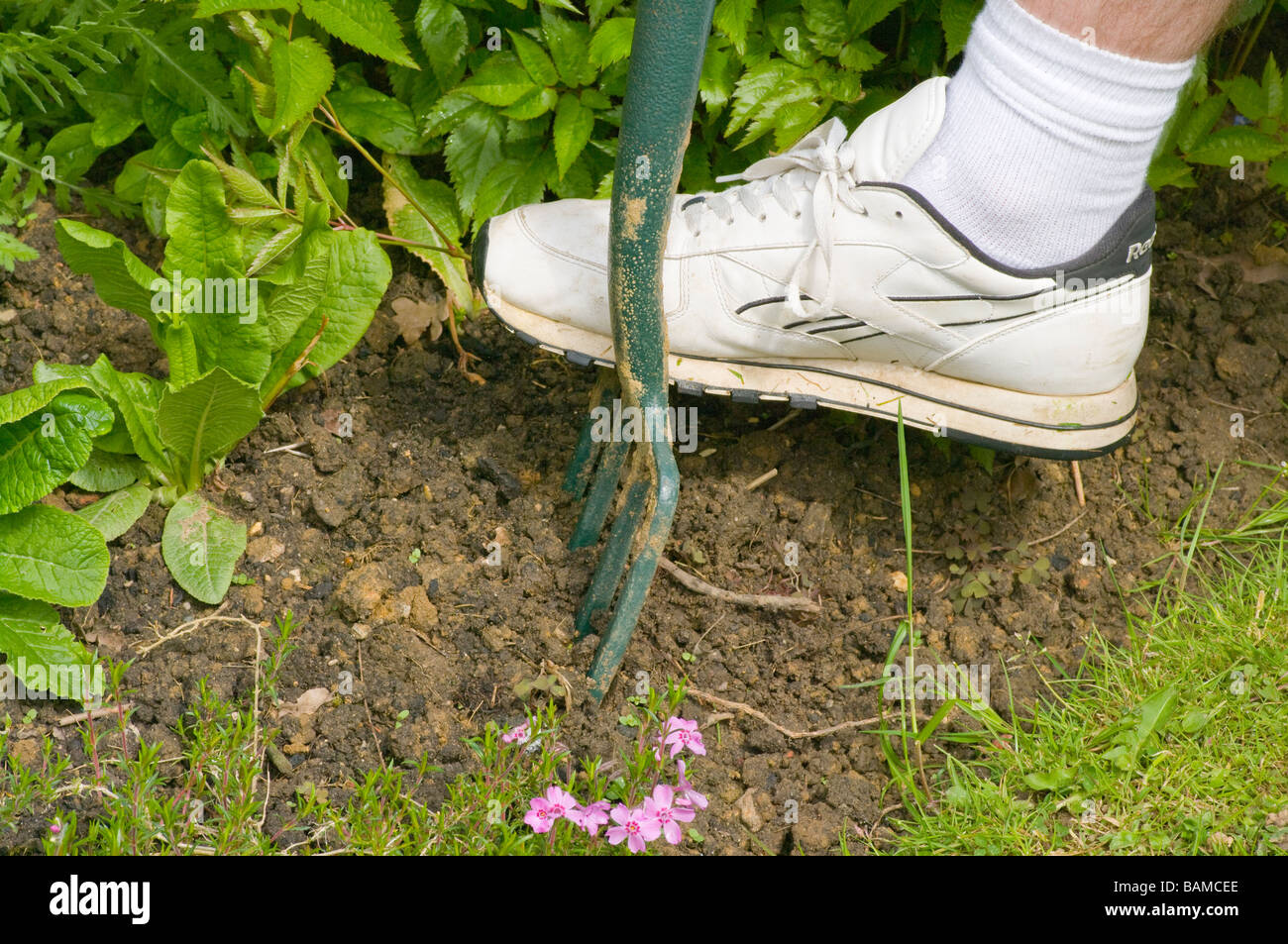 Garden fork hi-res stock photography and images - Alamy