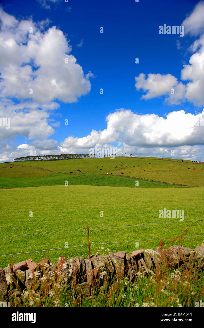 Summer Landscape of the Tinto Hills near Biggar Town Upper Tweeddale ...