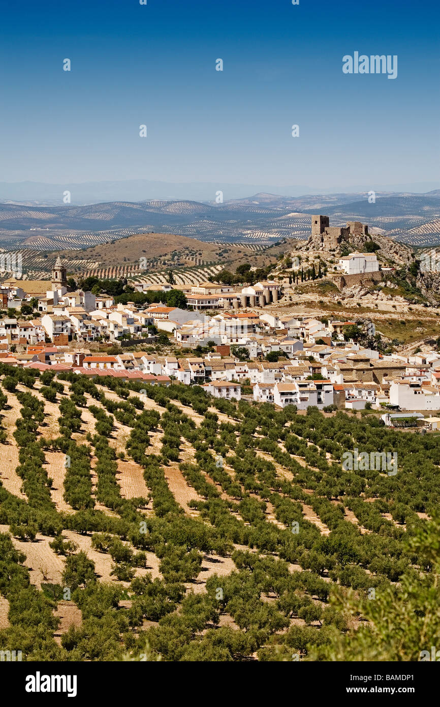 Luque olive hi-res stock photography and images - Alamy