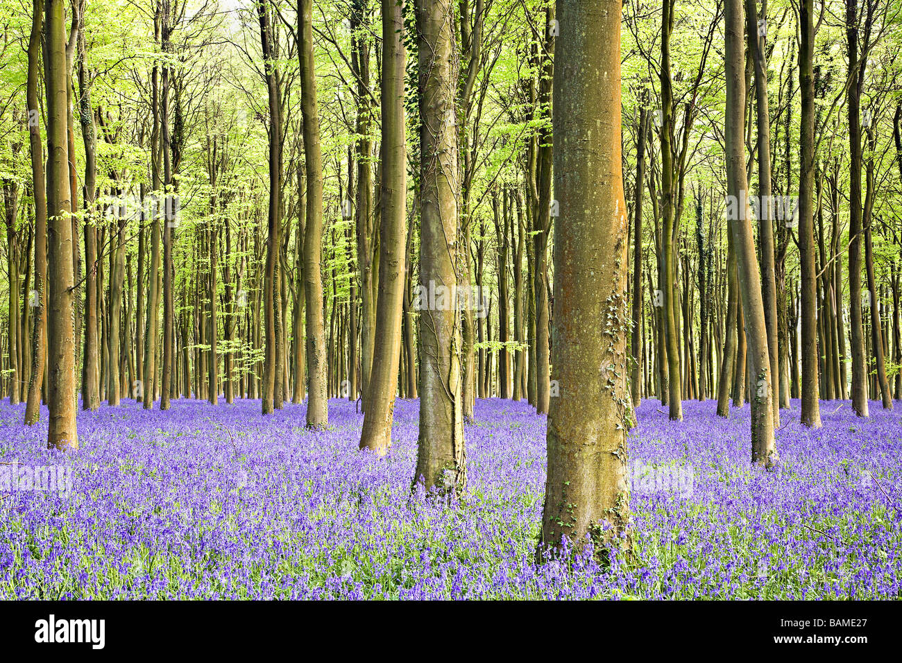 Angmering sussex hi-res stock photography and images - Alamy