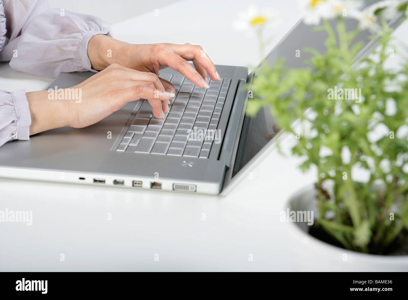 Person Typing On Laptop Stock Photo - Alamy
