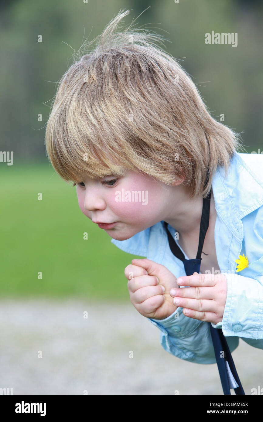 potrait of a two years old boy outdoors Stock Photo - Alamy