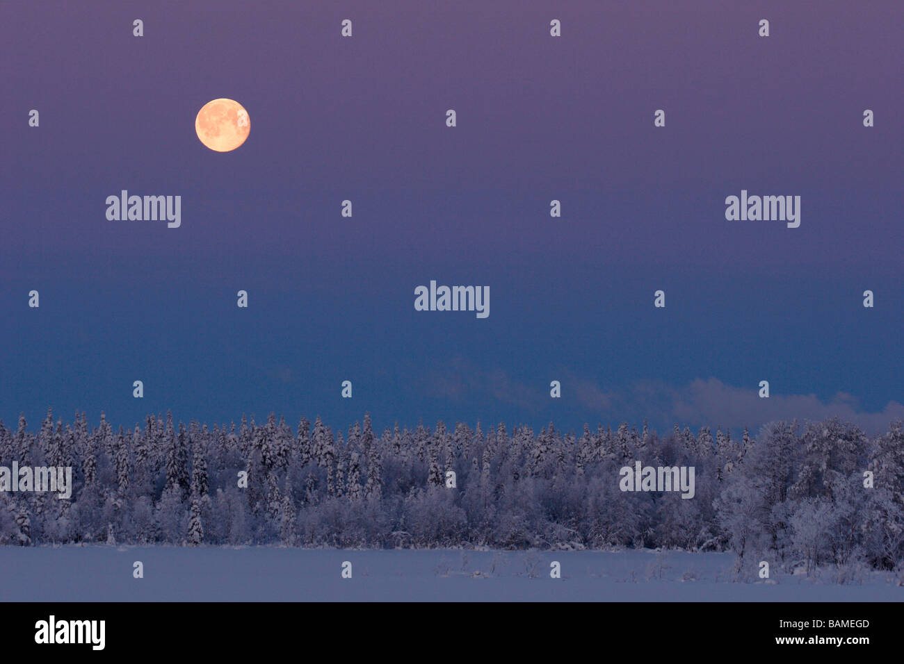 Finland, Lapland Province, Kuusamo, taiga, moon going down Stock Photo ...