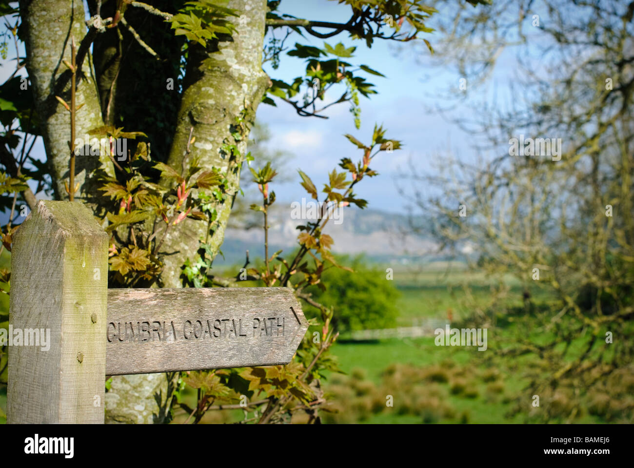 cumbria coastal walk sign Stock Photo - Alamy