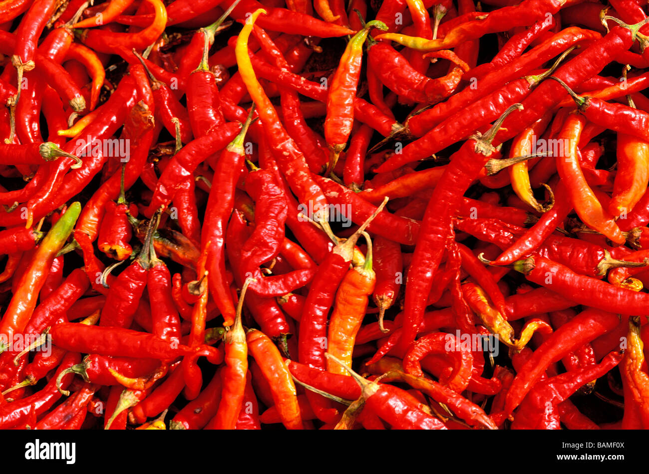 Drying chili pepper hi-res stock photography and images - Alamy