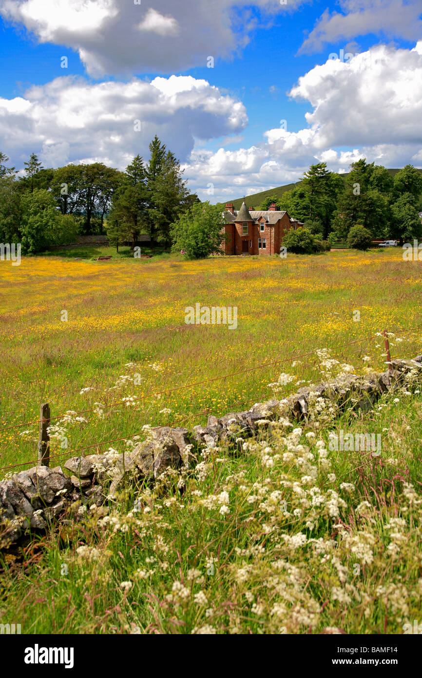 Farm with Summer Flower Meadow Thankerton village Upper Tweeddale ...