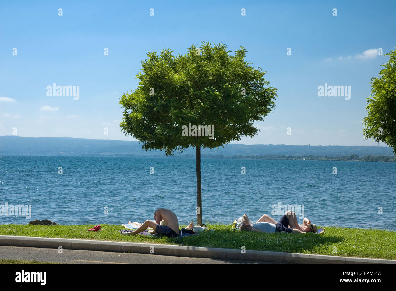Resting in shade of small tree by lake Stock Photo - Alamy
