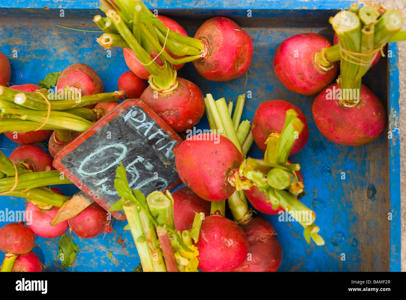 Giant radish hi-res stock photography and images - Alamy
