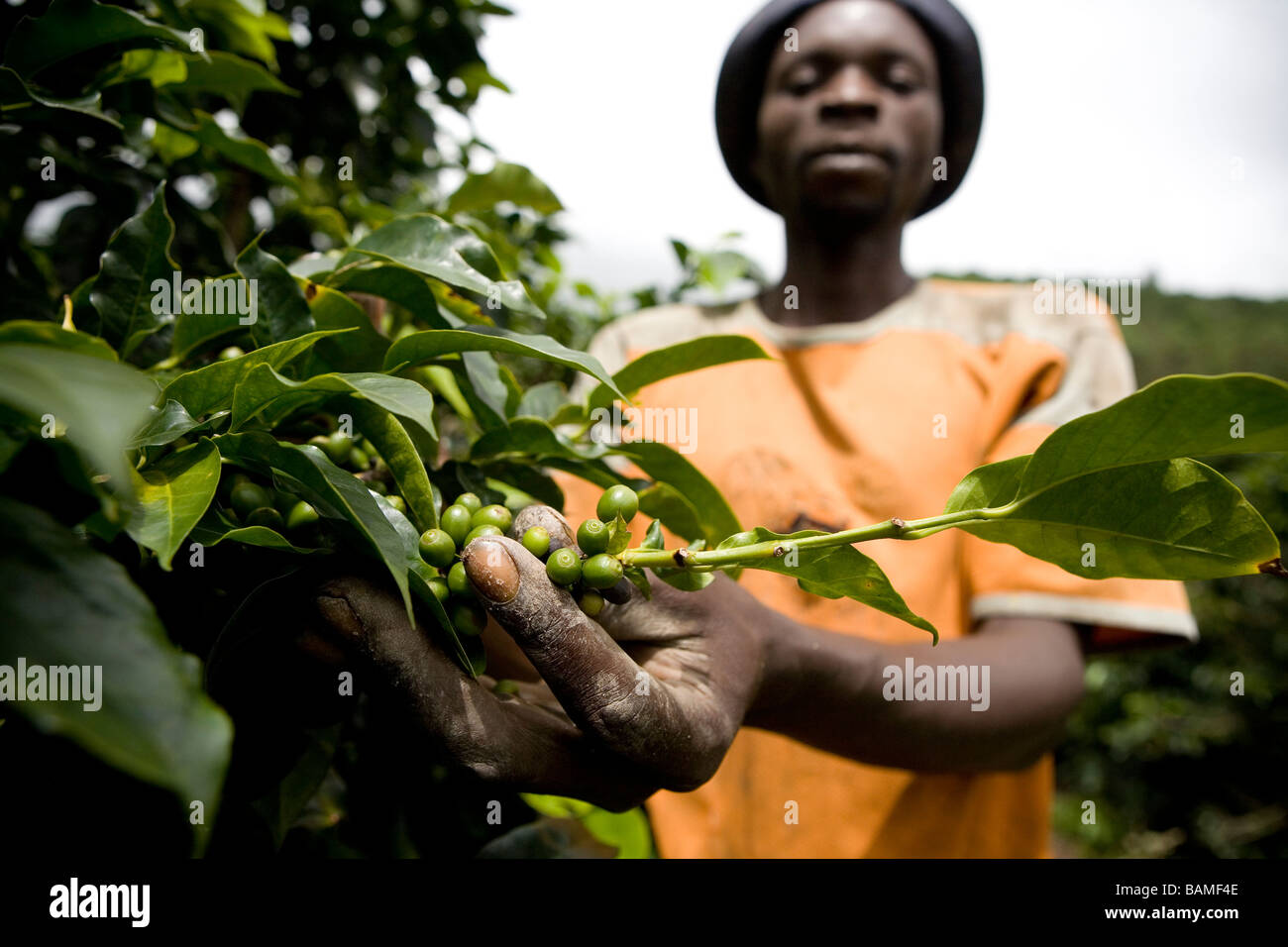 Groundnut africa hi-res stock photography and images - Alamy