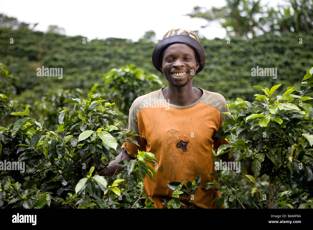 Groundnut farmer, Malawi, Africa Stock Photo - Alamy