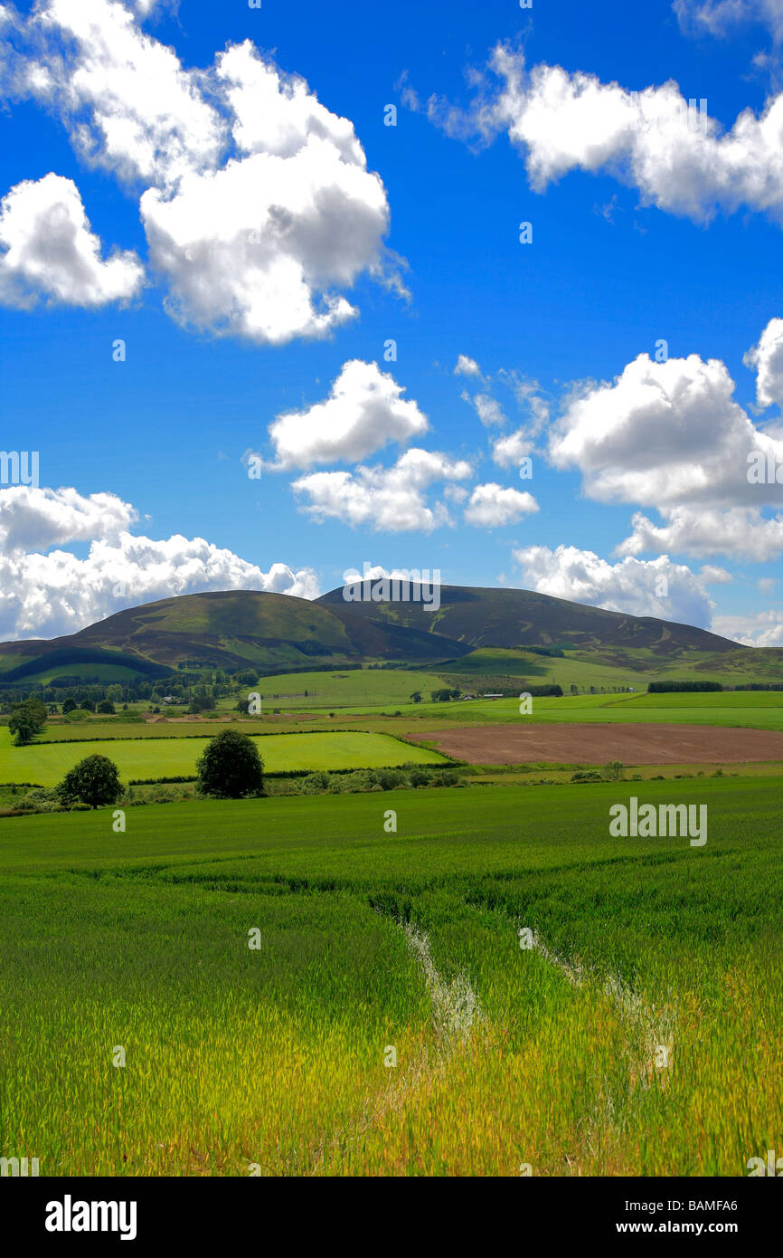 Summer Landscape of the Tinto Hills near Biggar Town Upper Tweeddale ...
