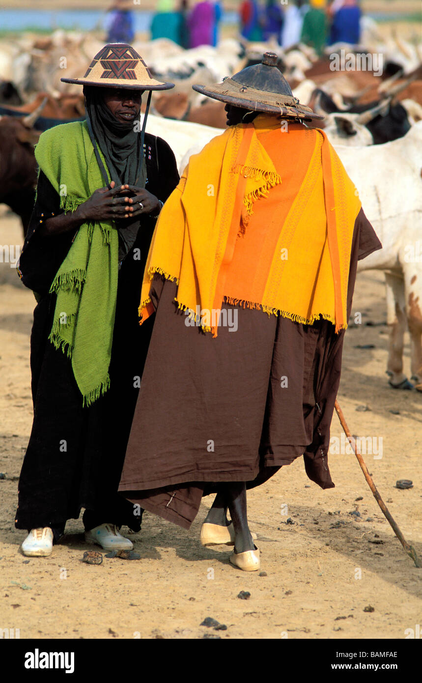 Mali, Mopti Region, Sofara, Transhumance of herd of the Peulh people ...