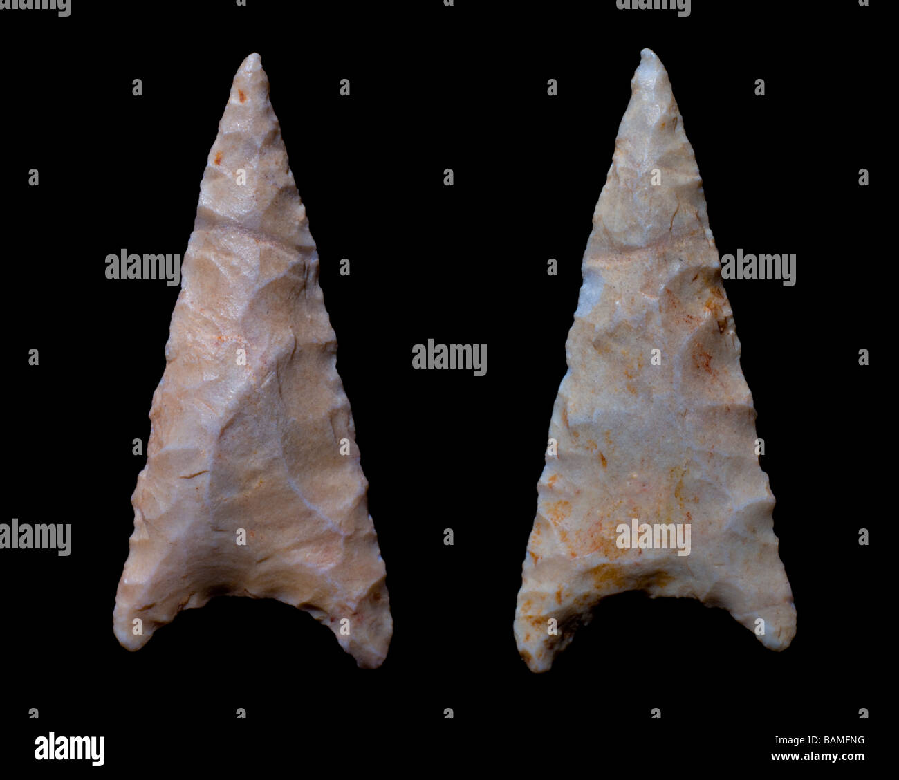 Neolithic arrowheads hi-res stock photography and images - Alamy