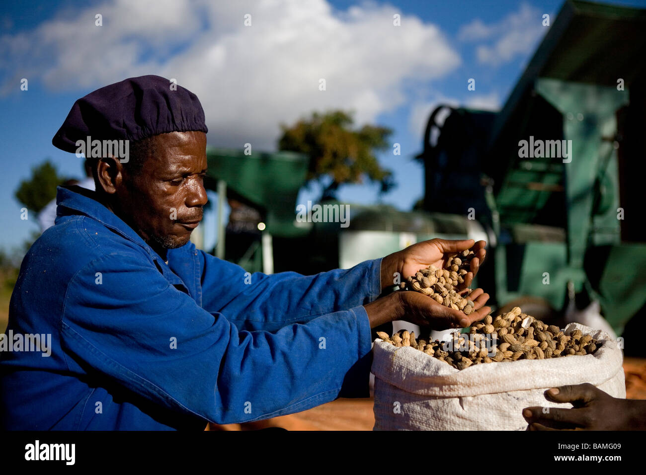 Nut farmer, Malawi Stock Photo - Alamy