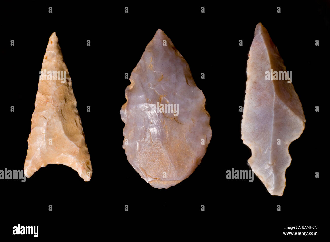 African arrowheads hi-res stock photography and images - Alamy