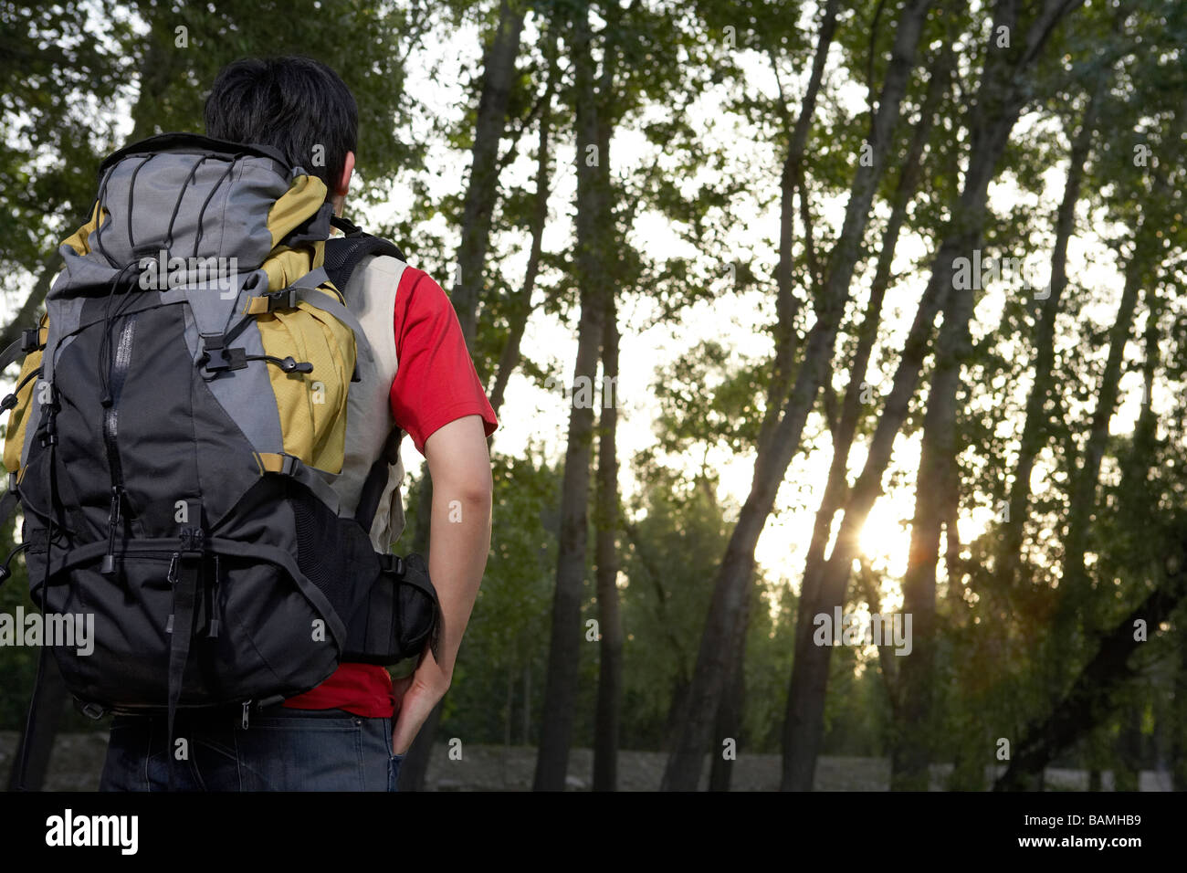 Young Man Walking Through Trees Stock Photo - Alamy