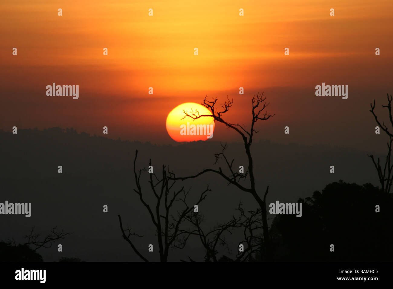 Kenya Aberdare National Park Kenya Sunset at treetops lodge Stock Photo ...