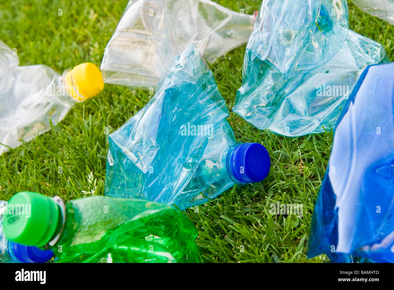 Collection ecology hi-res stock photography and images - Alamy