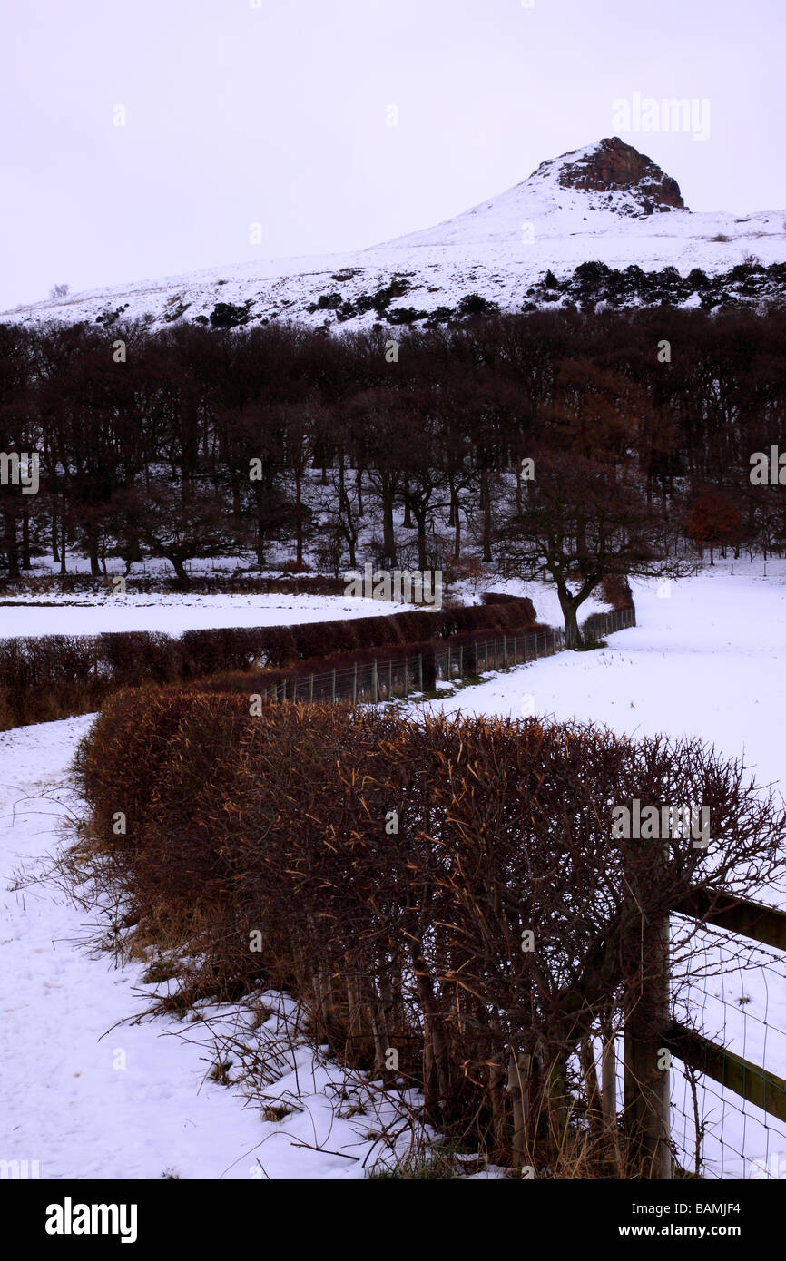 Newton Under Roseberry Stock Photos & Newton Under Roseberry Stock ...