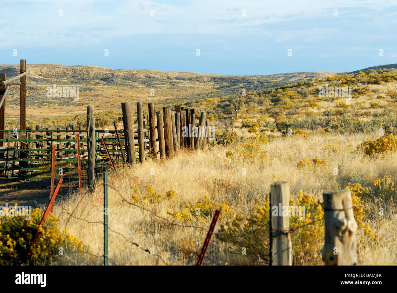 An old corral with sagebrush, Artemisia tridentata, in the Oregon High ...