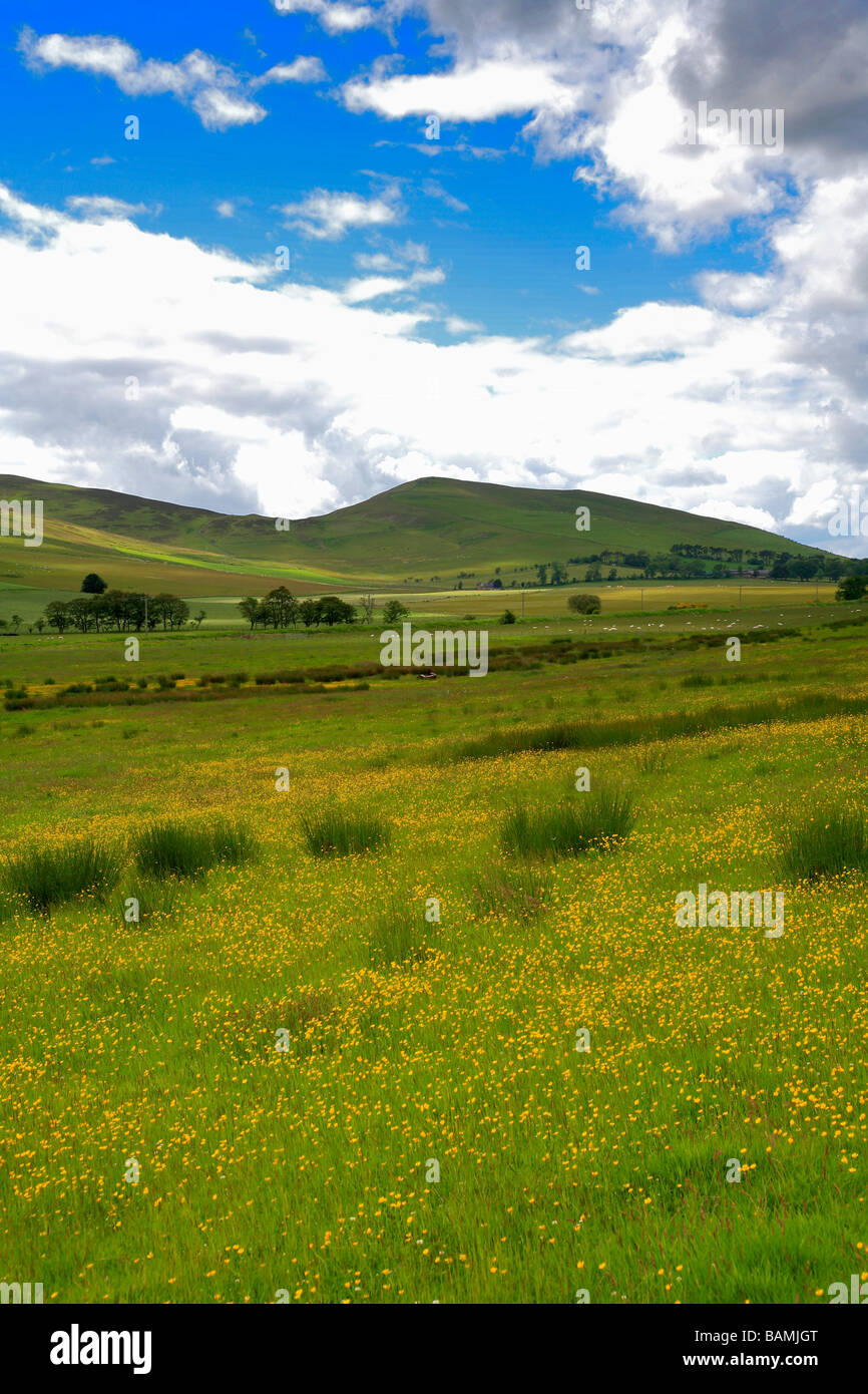 Summer Landscape of a hill ridge and valley near Broughton Village ...