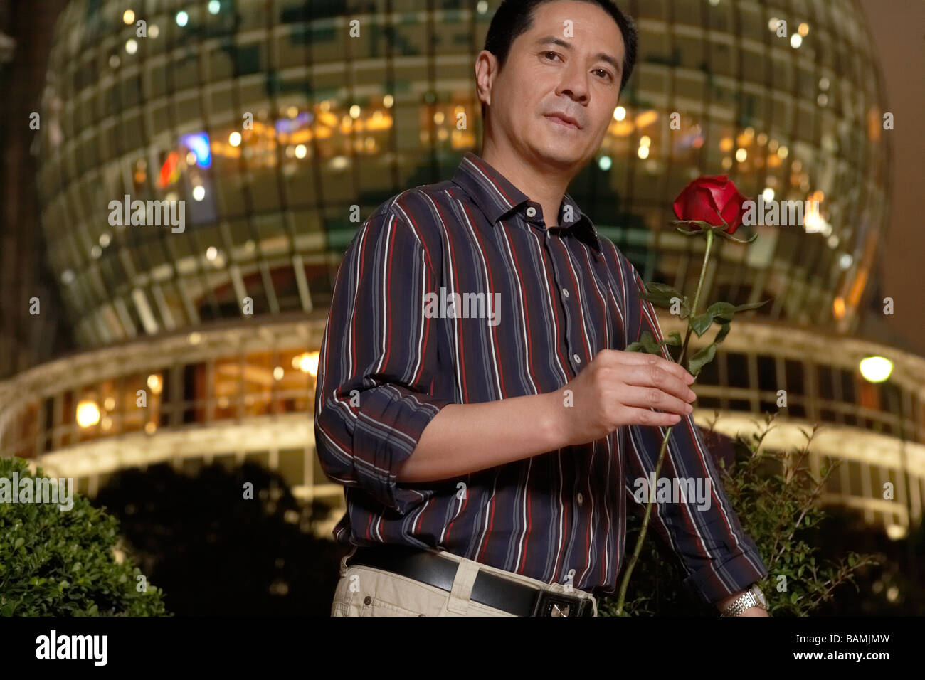 Man Holding Rose Stock Photo - Alamy