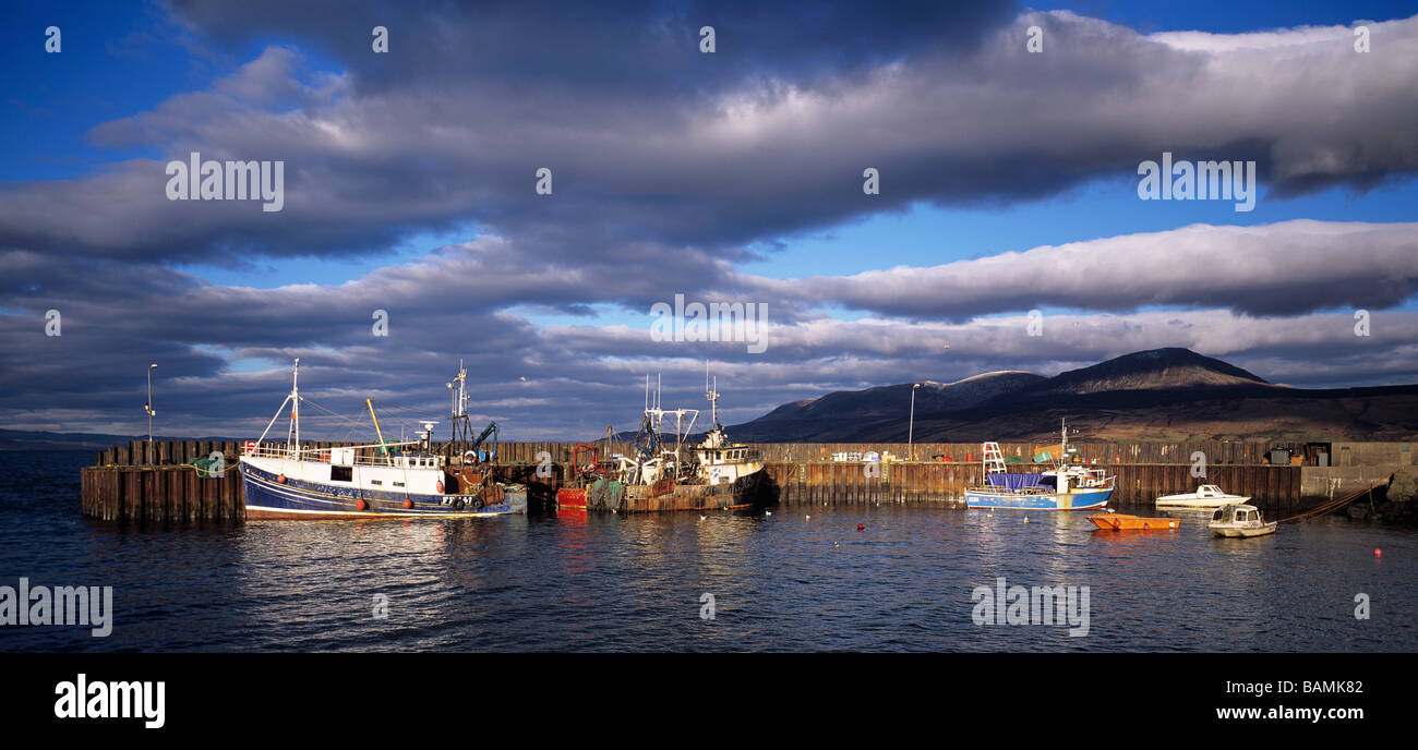 Kintyre, Scotland; Fishing boats in Carradale Harbour Stock Photo - Alamy