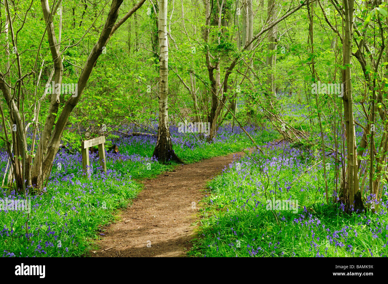 Waresley and gransden wood hi-res stock photography and images - Alamy