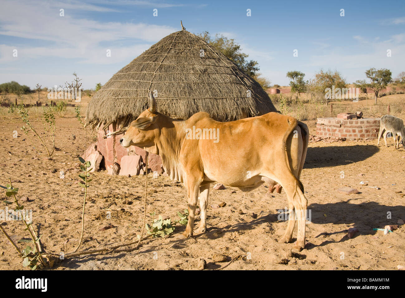 Rural villages india hi-res stock photography and images - Alamy