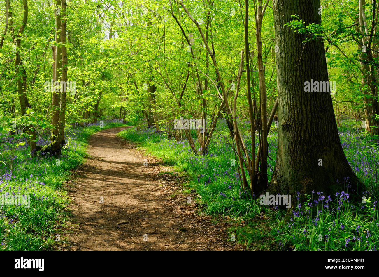 Waresley cambridgeshire hi-res stock photography and images - Alamy