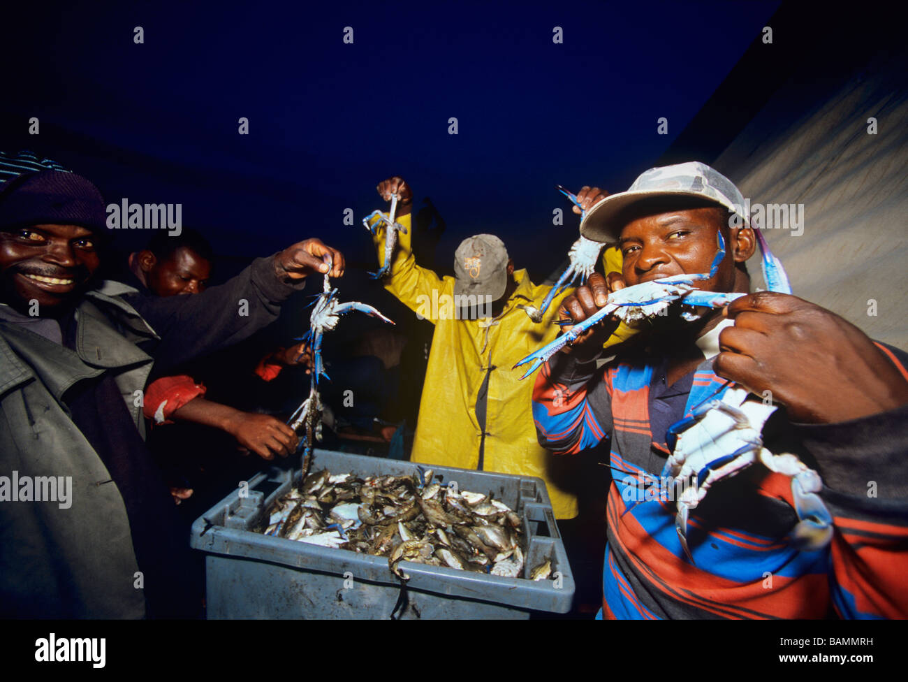 Fishermen hold crabs caught by gill fishing Inhambane Mozambique Stock ...