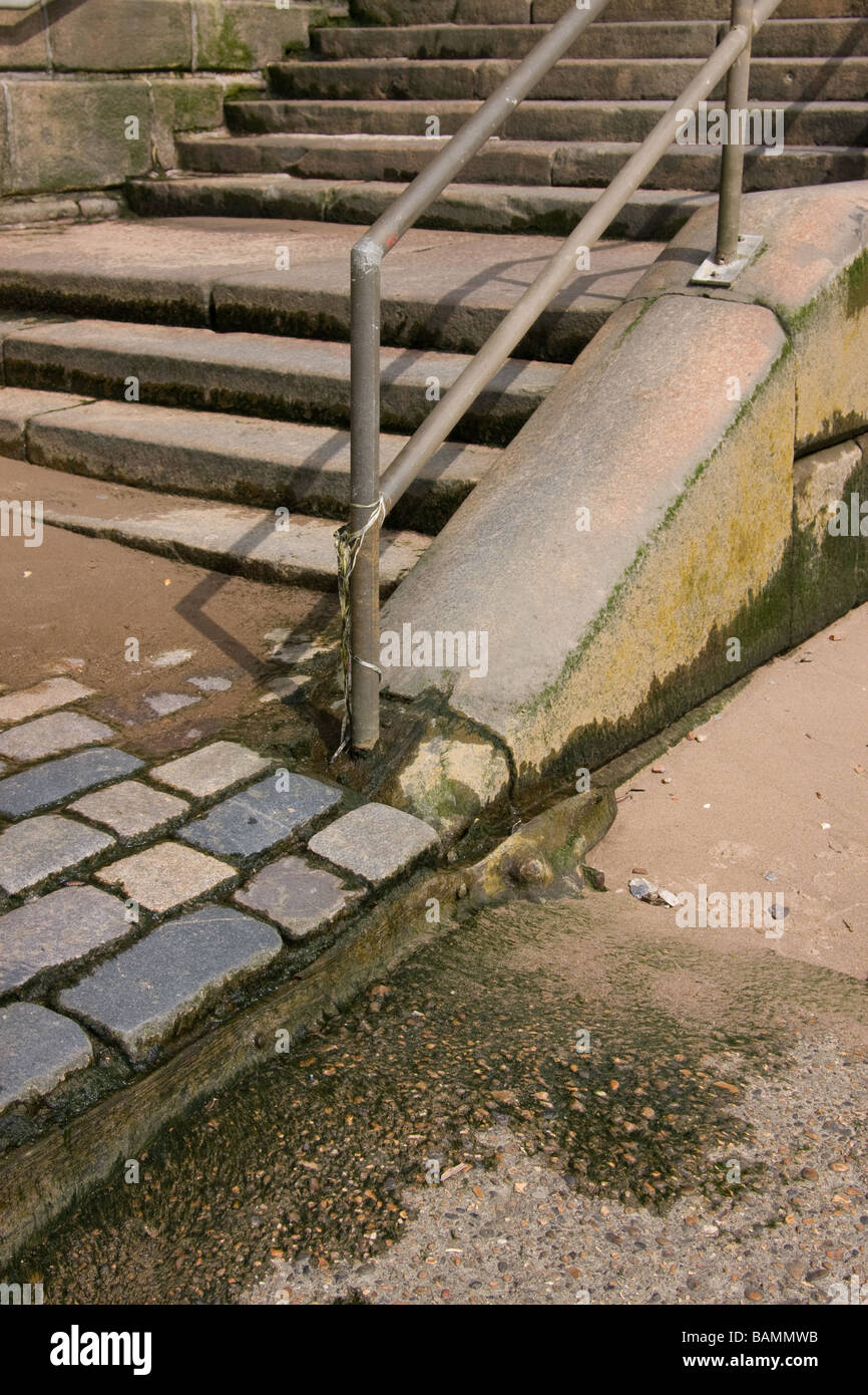 cobblestone steps riverbed thames path north bank river thames london ...