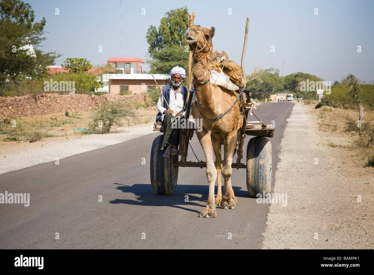 Man riding on a camel drawn cart along a road, between Osian and ...