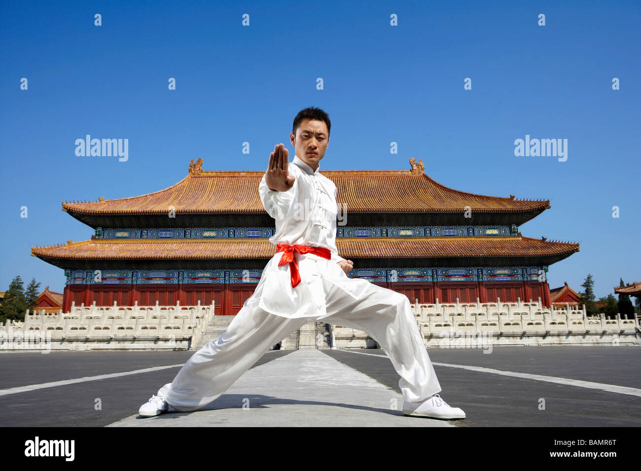 Portrait Of Young Man Practicing Martial Arts Stock Photo - Alamy
