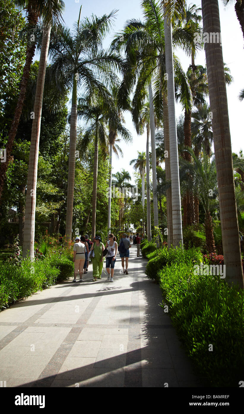 Aswan Botanical Gardens, Kitchener Island, River Nile, Aswan, Egypt ...