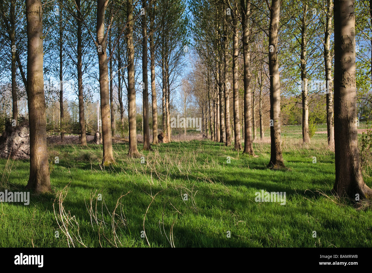 A rural landscape burton hi-res stock photography and images - Alamy