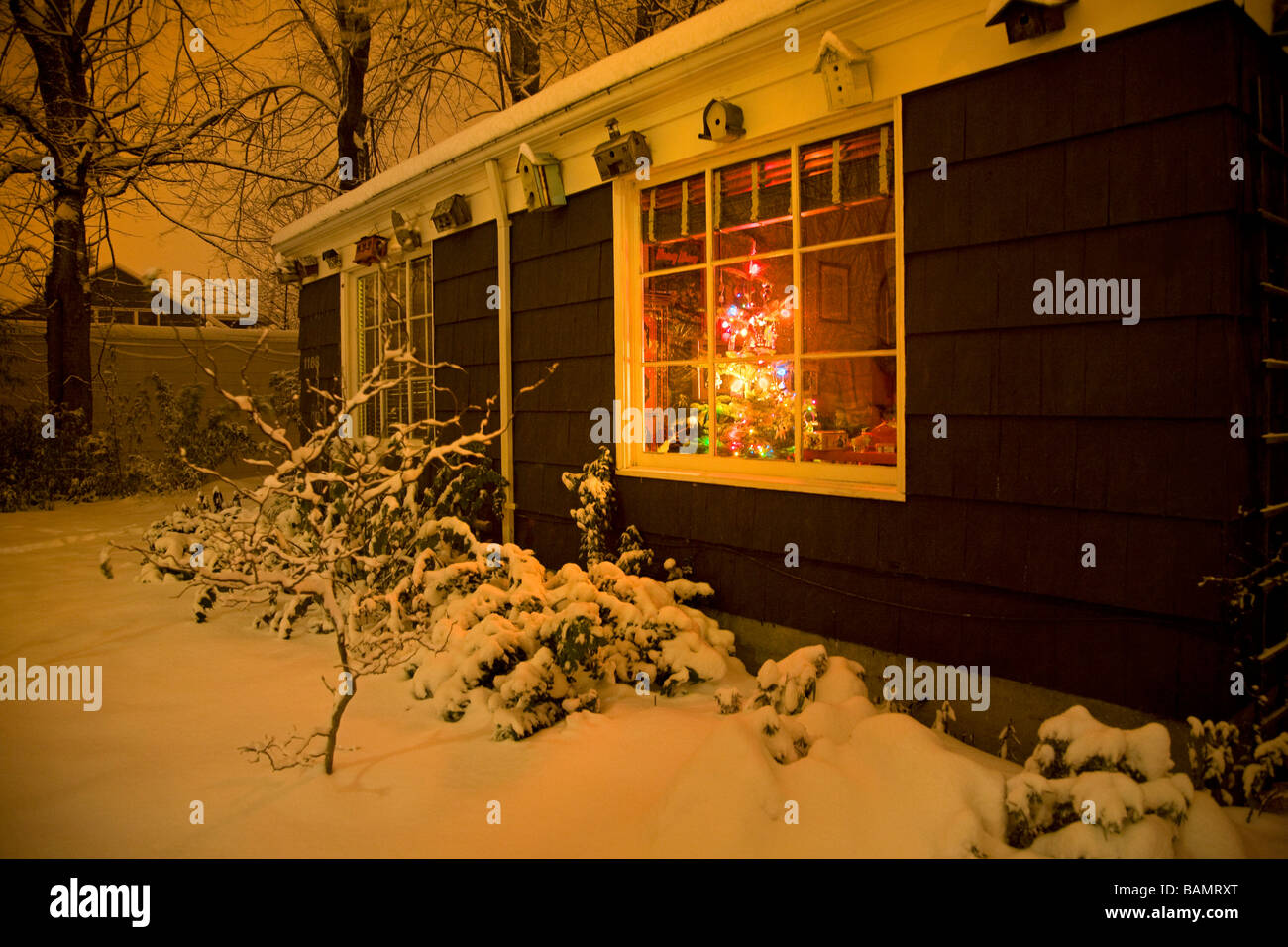 House in winter with Christmas Tree visible in window Stock Photo - Alamy