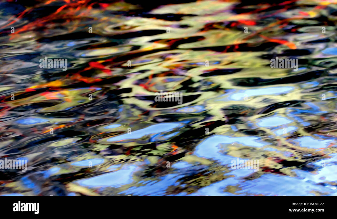 Brilliant colors abound in this motion blur reflection of the Okavango ...