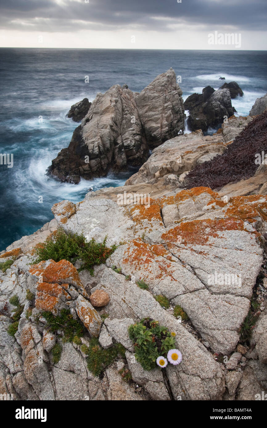 Pinnacle Cove at sunset, Point Lobos State Reserve, California, USA ...