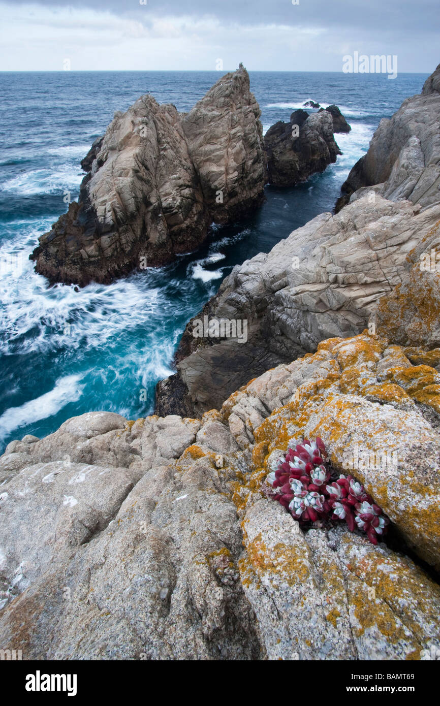 Pinnacle Cove at sunrise, Point Lobos State Reserve, California, USA ...